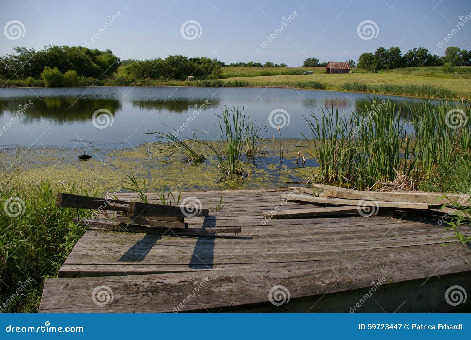 Iowa pond scene. stock image. Image of midwest, pond - 59723447