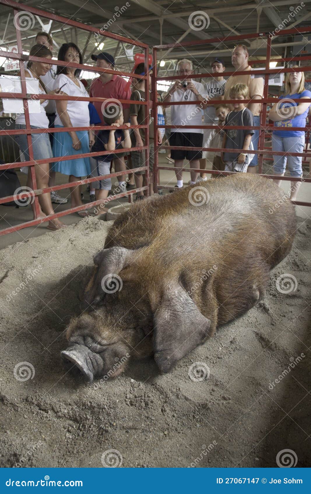 Iowa State Fair: Crowd Editorial Photo | CartoonDealer.com #58234483