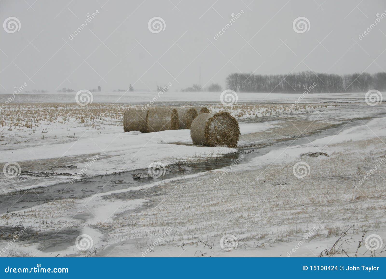 Iowa Winter stock photo. Image of bales, corn, drift - 15100424