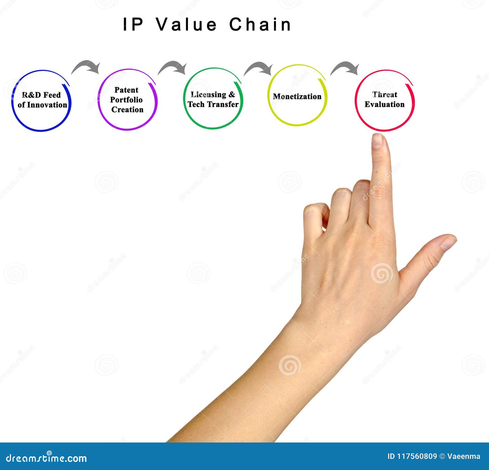 IP Value Chain stock image. Image of novelty, feed, patent - 117560809