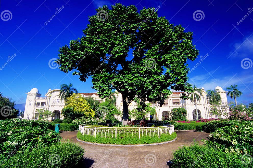 The Ipoh Tree editorial photography. Image of blowpipes - 26769582