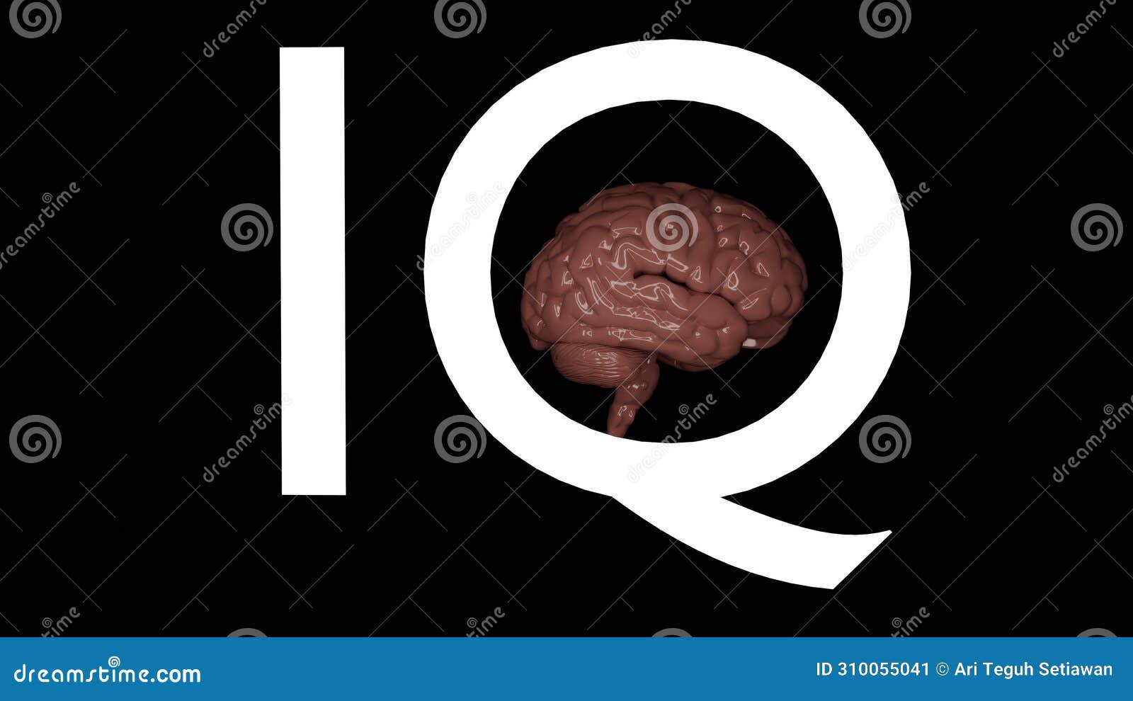 IQ or Brain Intelligence To Brain Structure Stock Illustration ...