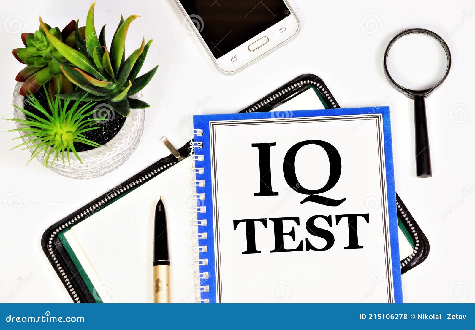 IQ Test. a Text Label in the Research Notebook Stock Photo - Image of ...