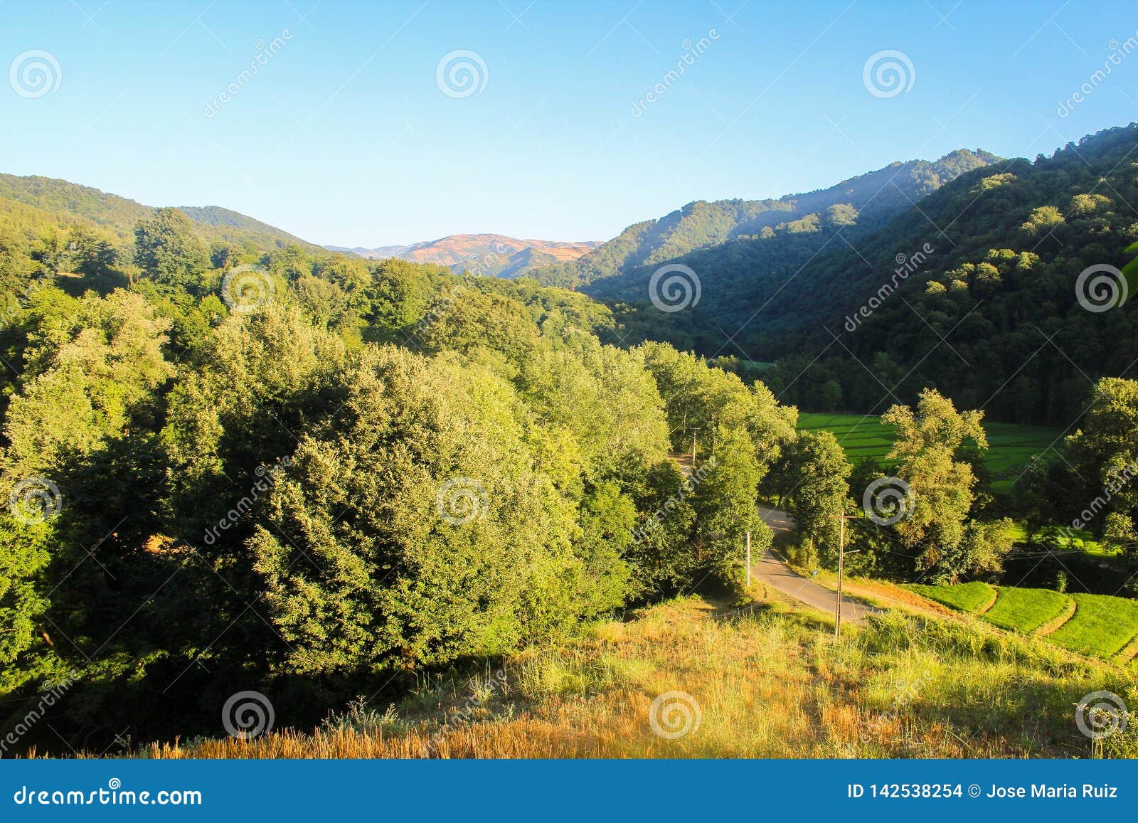 Mountains in Iran with a Forest and Rice Field in a Rural Area Stock ...