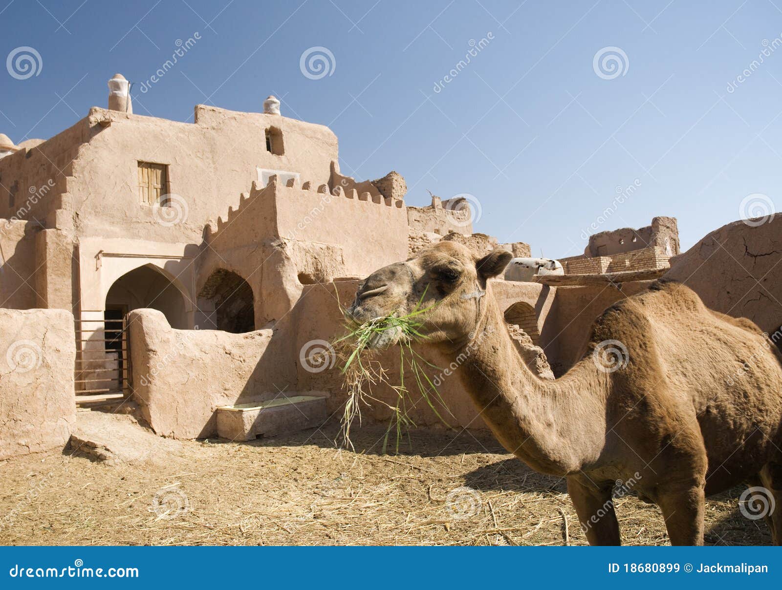 Iran Oasis Adobe Traditional Architecture Stock Image - Image of ...
