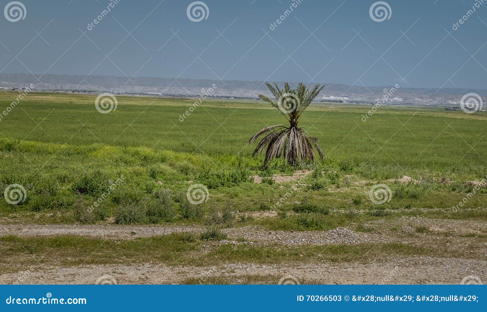 Iraqi Landscape in Summer stock image. Image of erbil - 70266503