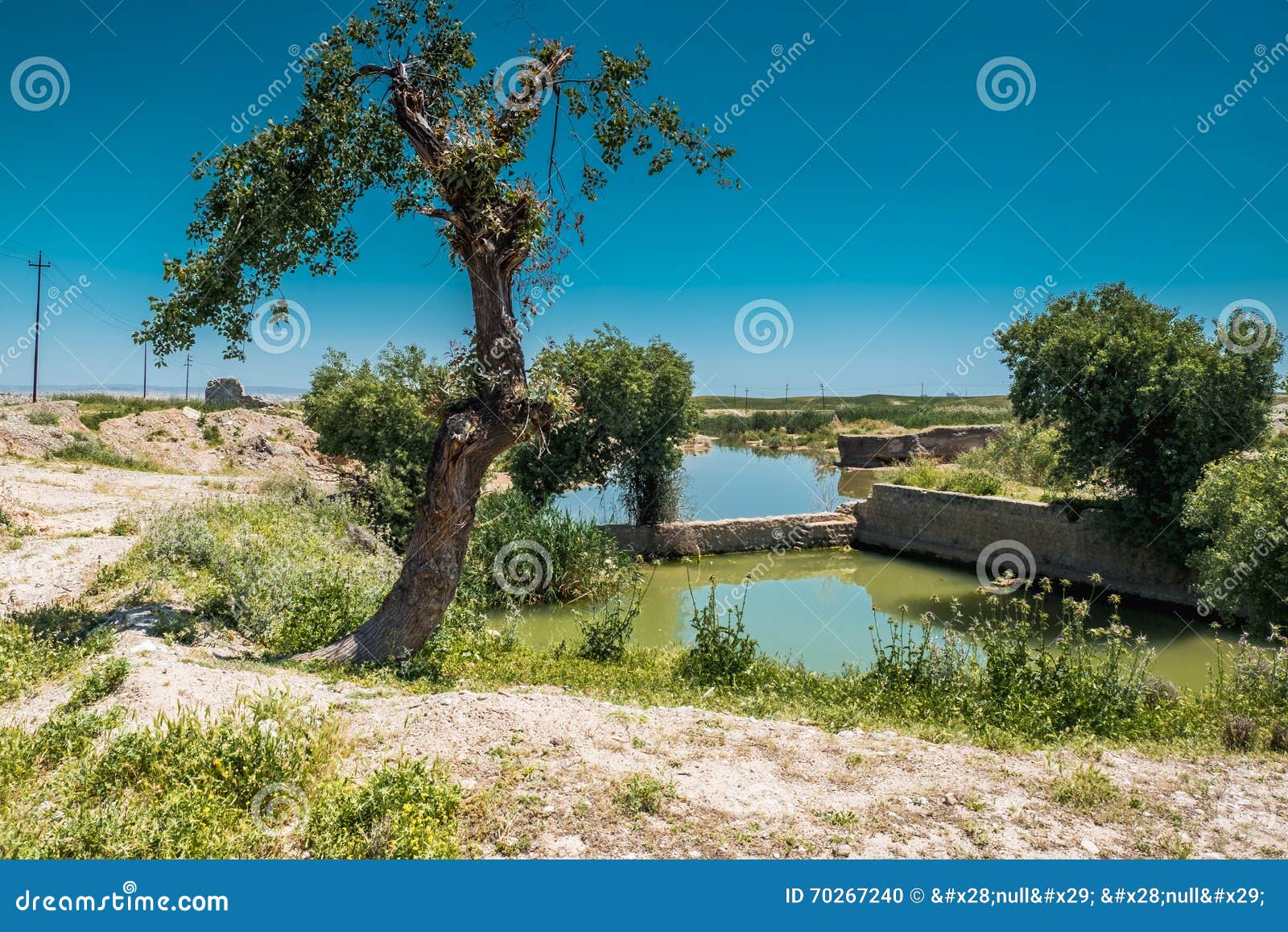 Iraqi Landscape in Summer stock photo. Image of outdoor - 70267240
