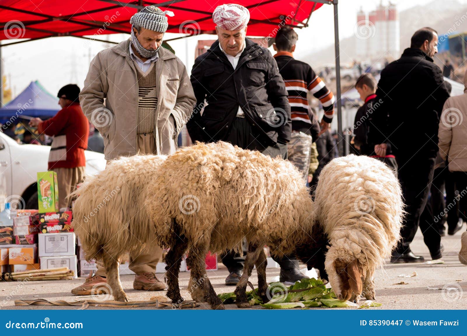 Iraqi Sheep Seller editorial photography. Image of marketn - 85390447