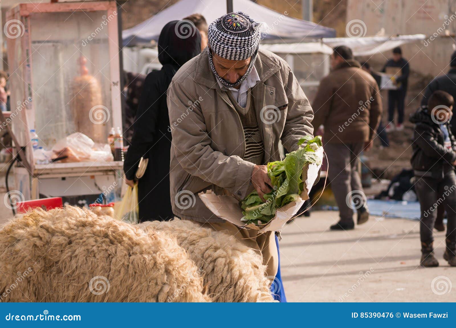 Iraqi Sheep Seller editorial photo. Image of wasit, seller - 85390476