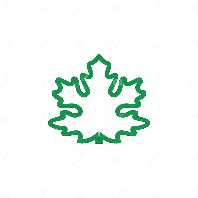 Sycamore Tree Leaf Logo Family Icon Sycamore Logo Stock Vector ...
