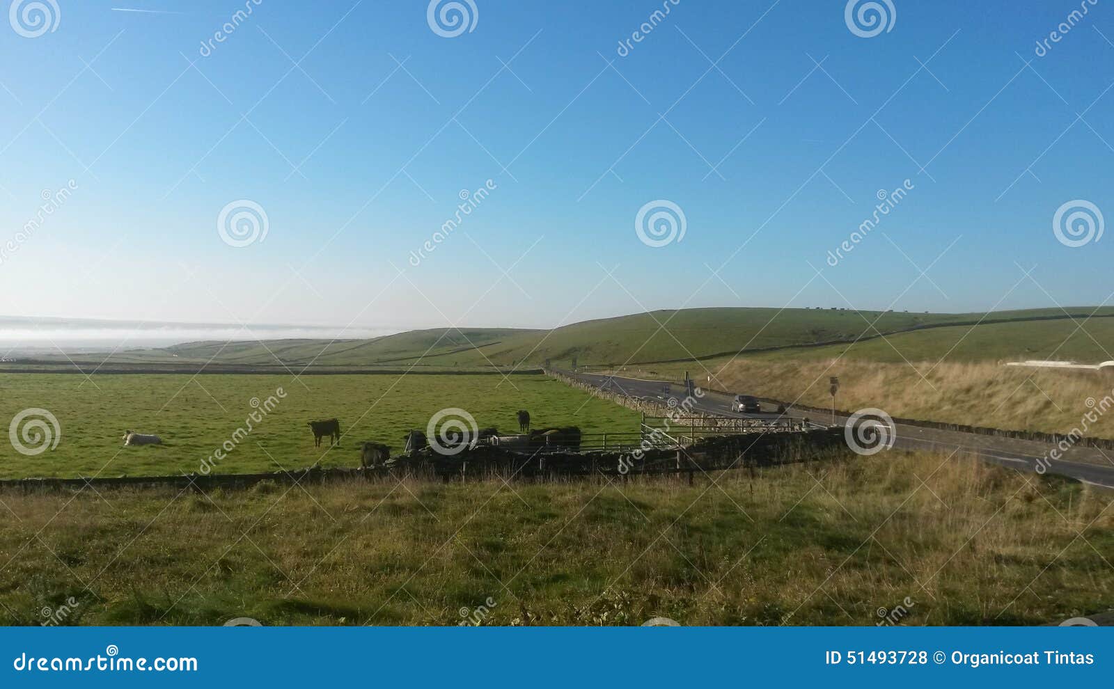 Ireland Fields stock photo. Image of garden, fields, stone - 51493728