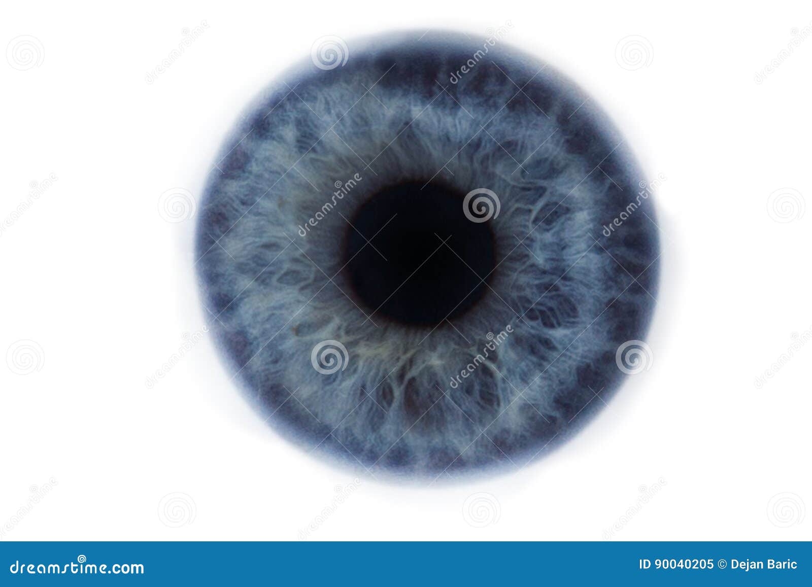 Iride Di Un Occhio Umano Pulito Blu Immagine Stock - Immagine di canali ...