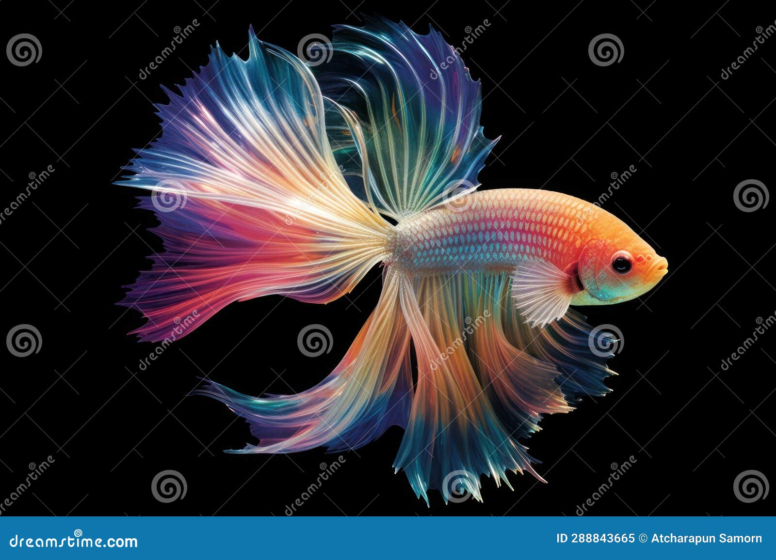 An Iridescent Crystal Betta Fish Generative AI Stock Illustration ...