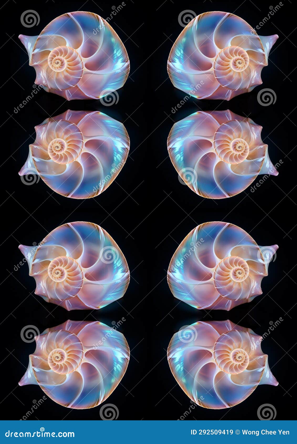 Iridescent Seashells Cutaway Seamless Symmetrical Wallpaper Pattern ...
