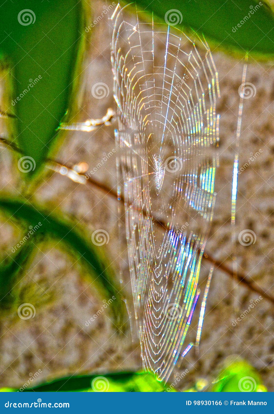 Iridescent Spider Web is Finished Stock Photo - Image of reflective ...