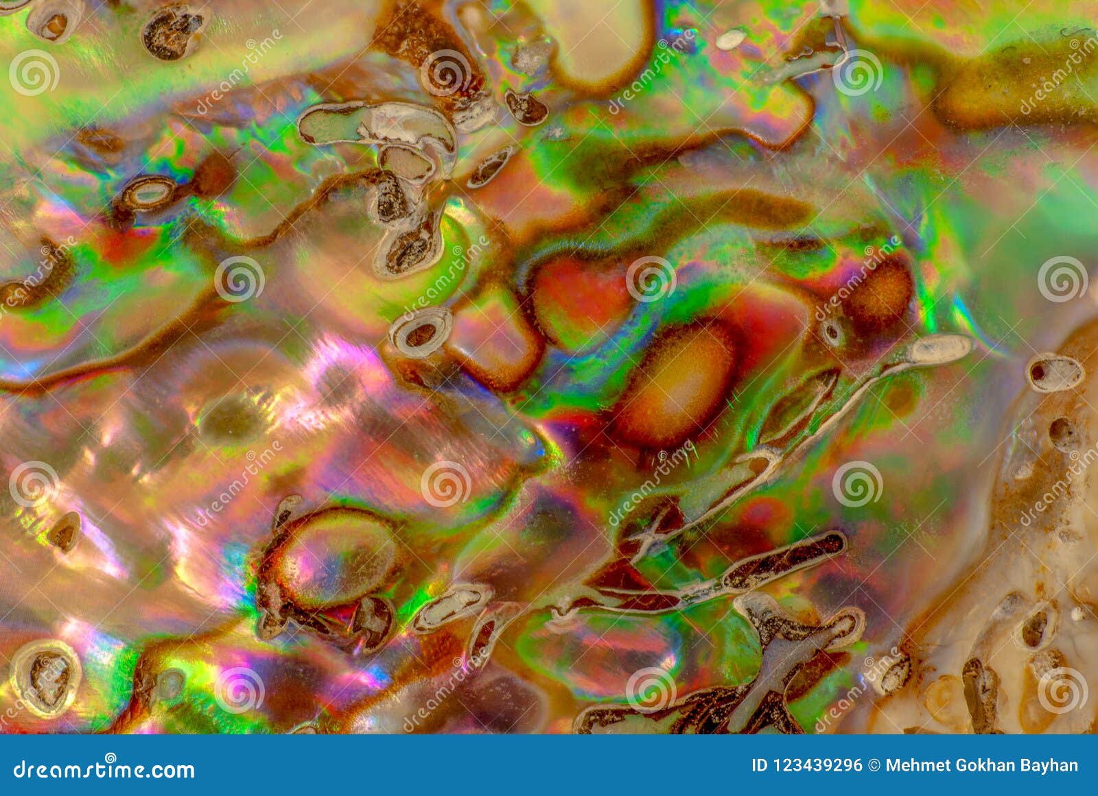 Iridescent Surface Texture of Abalone Shell Stock Photo - Image of good ...