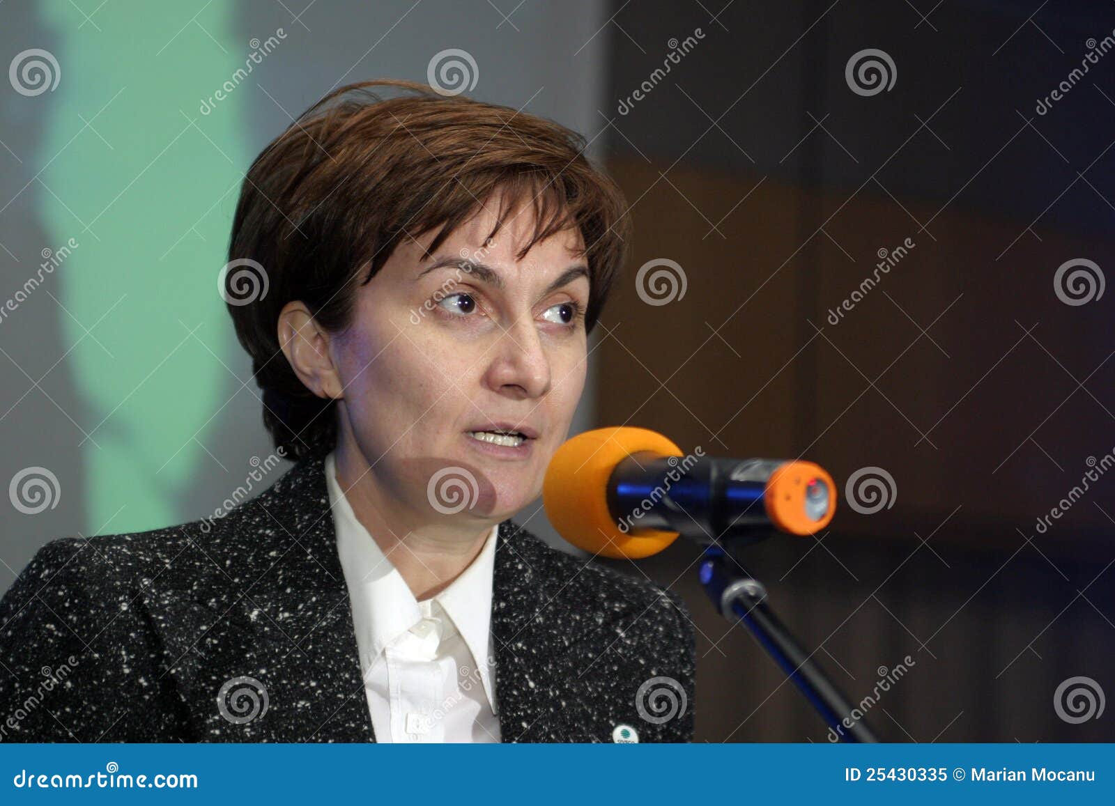 Irina Socol editorial image. Image of team, romania, president - 25430335