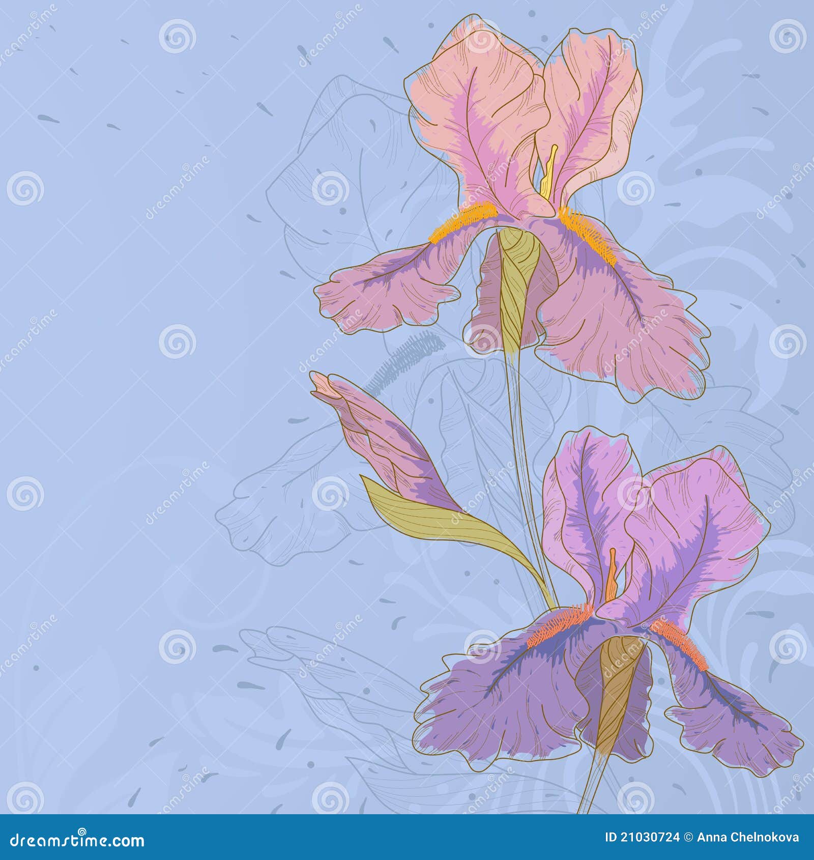 Iris. illustration de vecteur. Illustration of vert - 21030724-FR