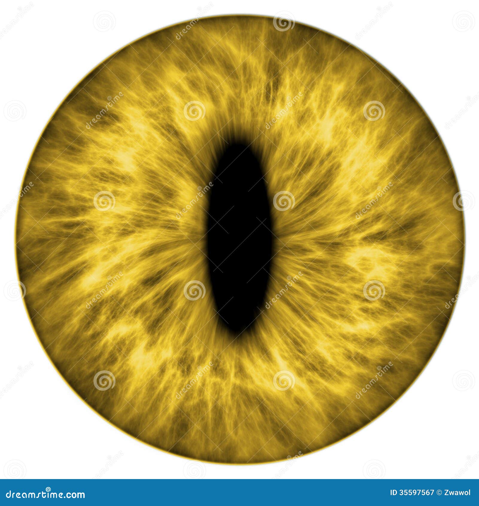 Iris animal amarillo stock de ilustración. Ilustración de médico - 35597567