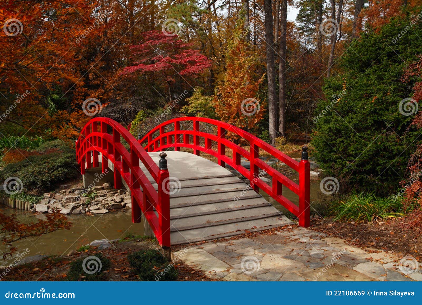 Iris Bridge in the Fall stock image. Image of duke, sarah - 22106669