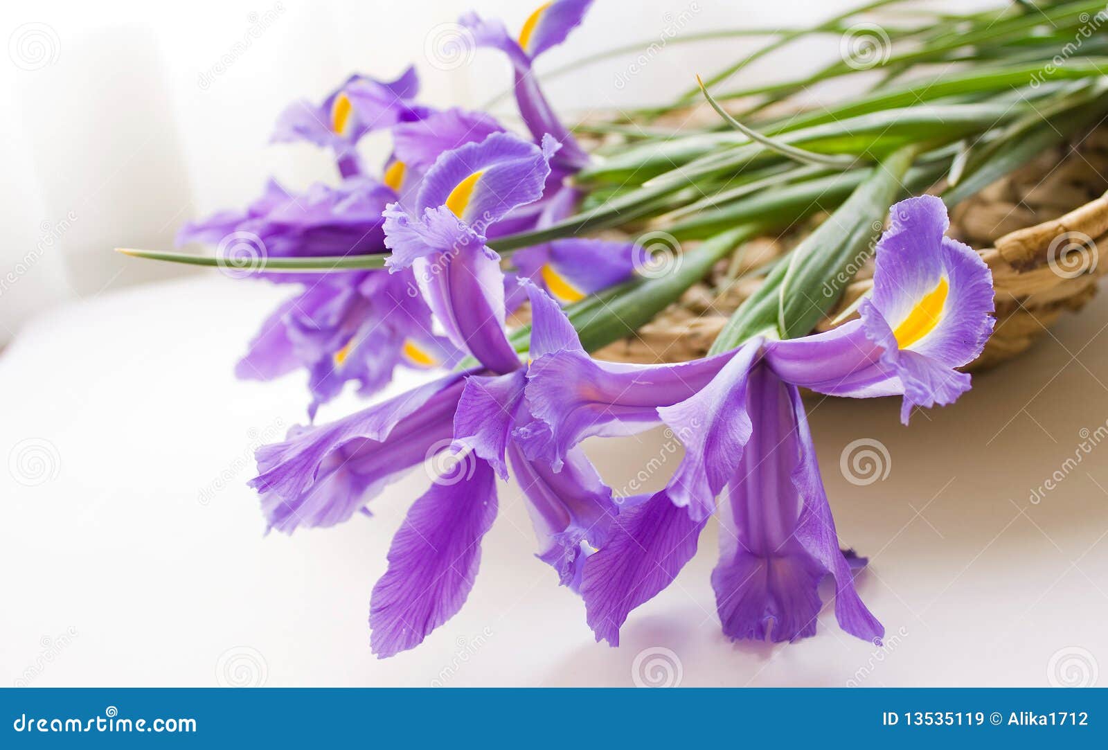 Iris bunch stock image. Image of botany, single, white - 13535119