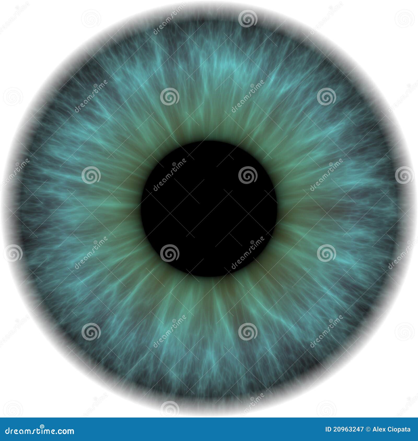 Iris d'oeil illustration stock. Illustration du configuration - 20963247