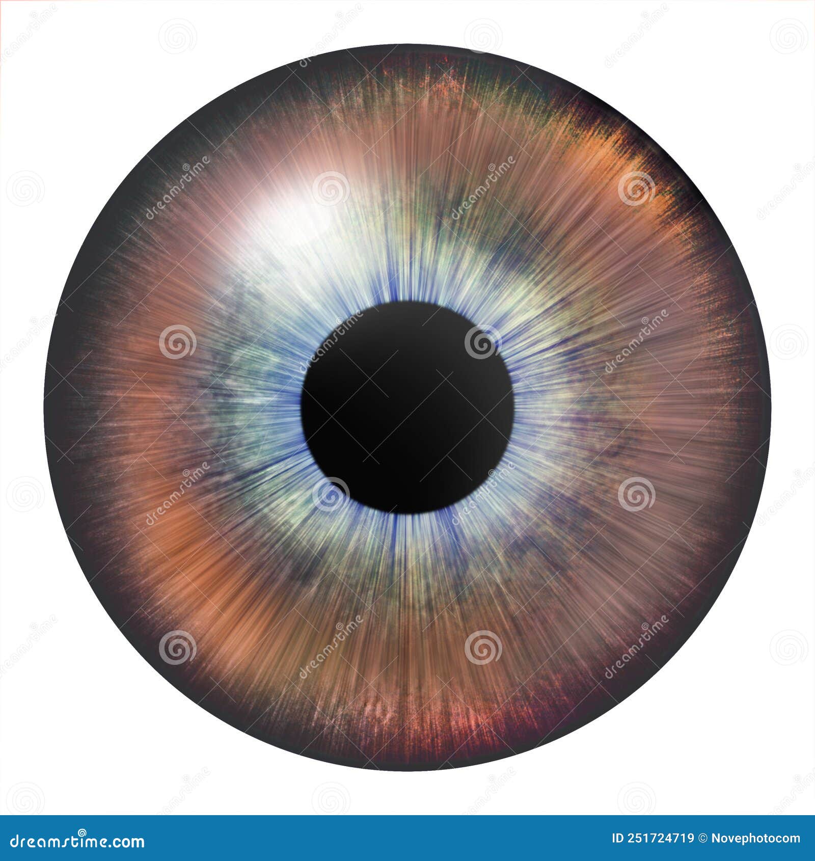 Iris of the Eye. Human Iris. Eye Illustration. Brown Eye. Creative ...