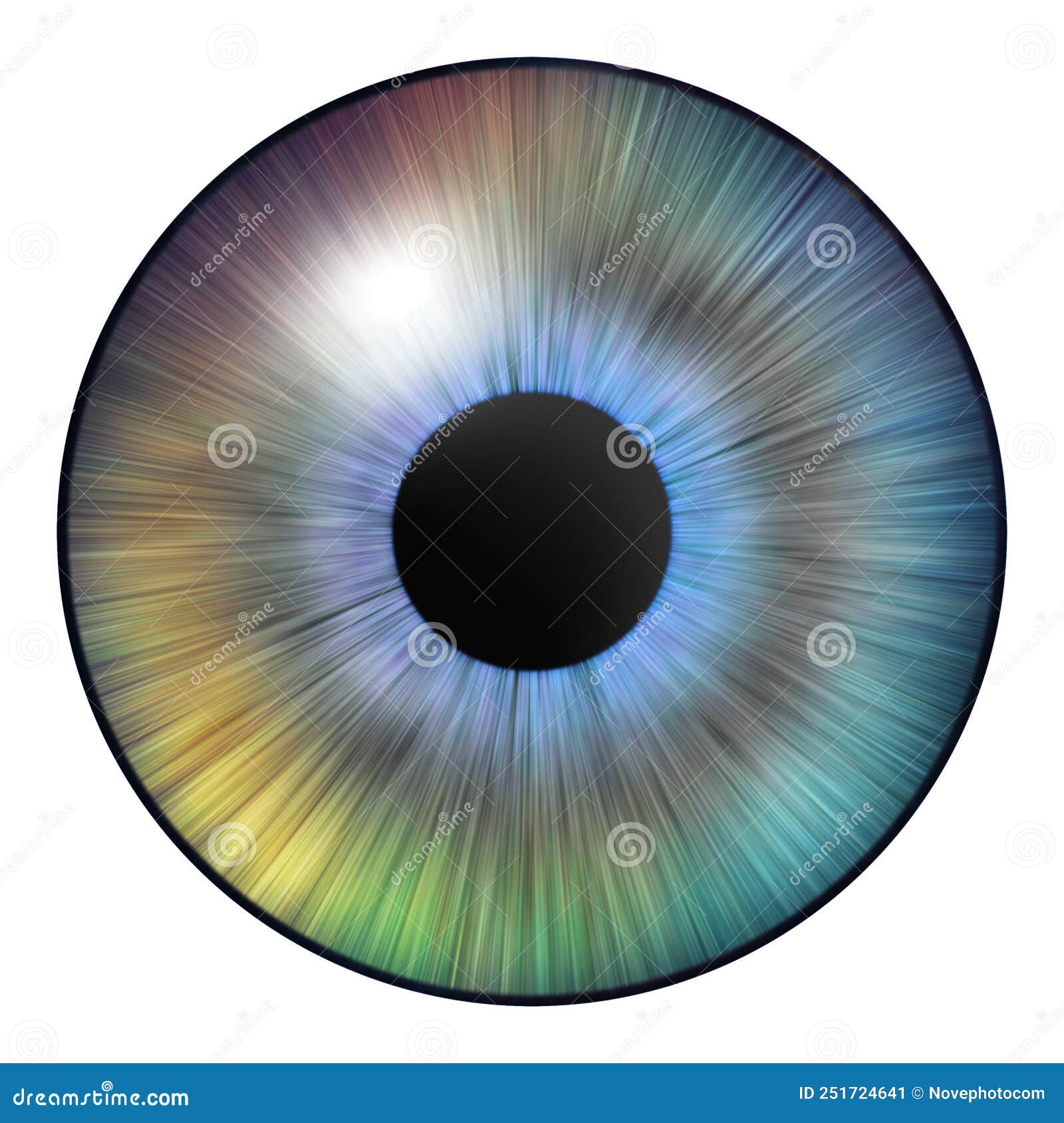 Iris of the Eye. Human Iris. Eye Illustration Stock Illustration ...