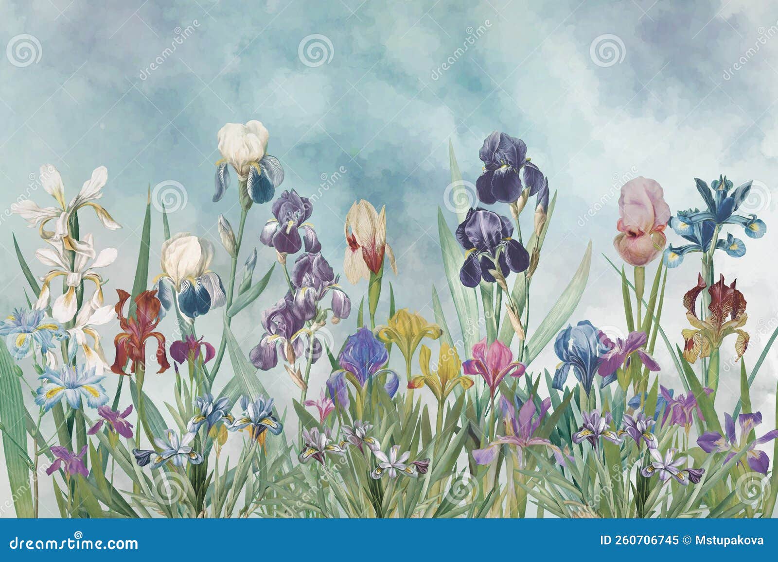 Iris Field.Birds of Paradise, Wallpaper with Garden Flowers Stock Image ...