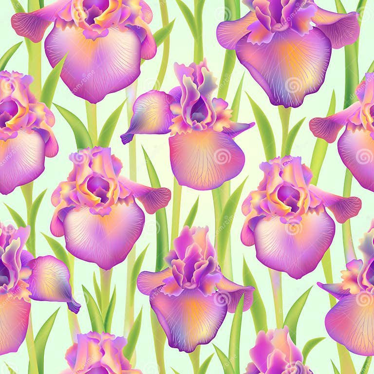 Iris Fleur-de-lis Flower Seamless Pattern Stock Vector - Illustration ...