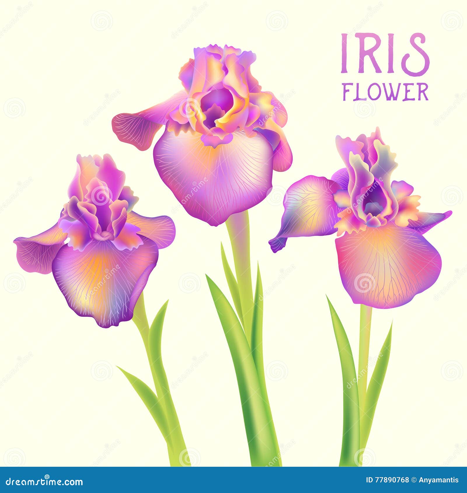 Iris Fleur-de-lis Flowers Illustration Stock Vector - Illustration of ...