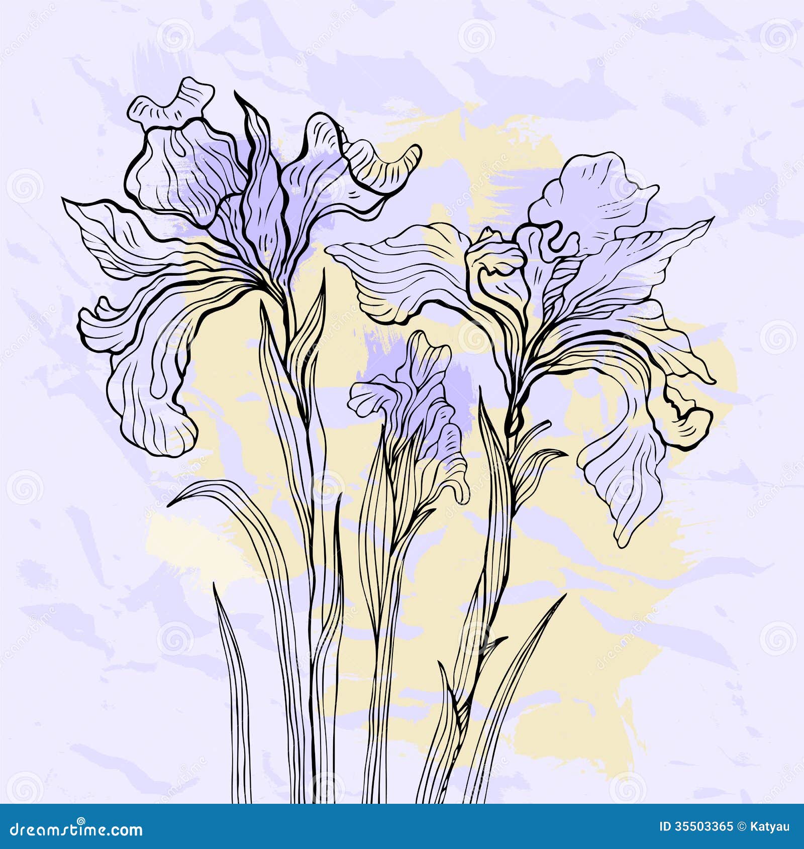 Iris flower illustration. stock illustration. Illustration of iris ...