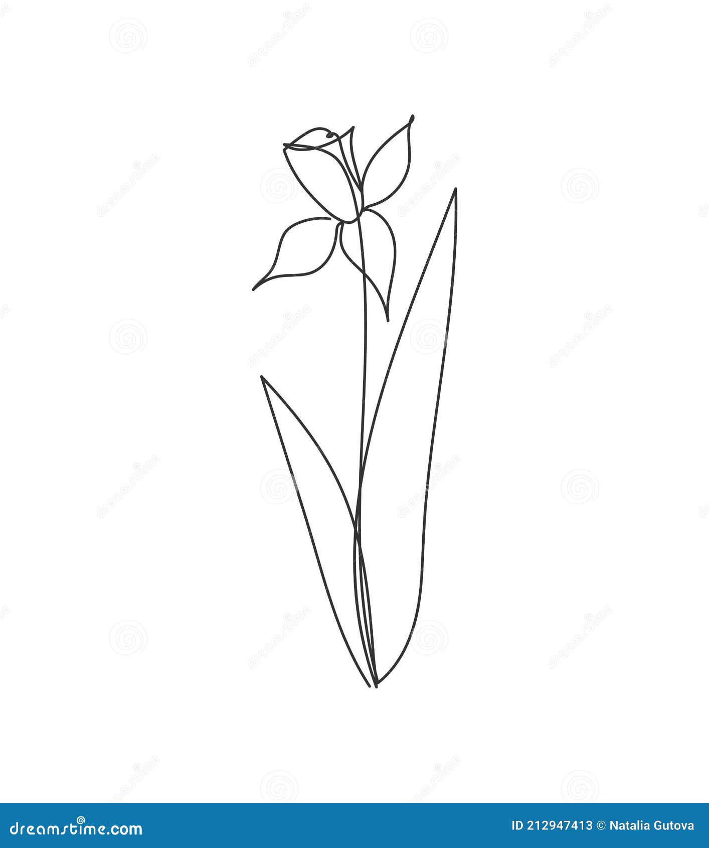Iris Flower in One Line Drawing Style. Abstract Image of a Silhouette ...