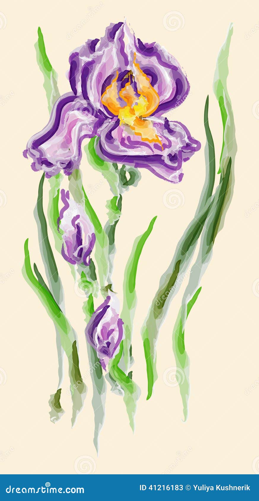 Iris flower stock vector. Illustration of growth, freshness - 41216183