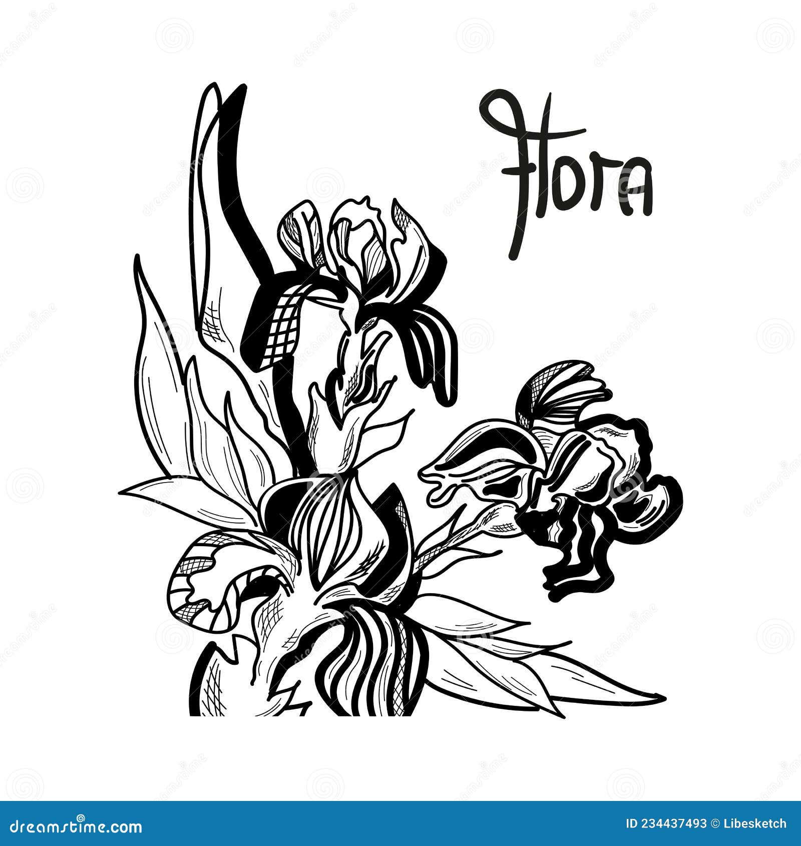Iris Flowers are Drawn Graphically with Lettering Flora. Stock Vector ...