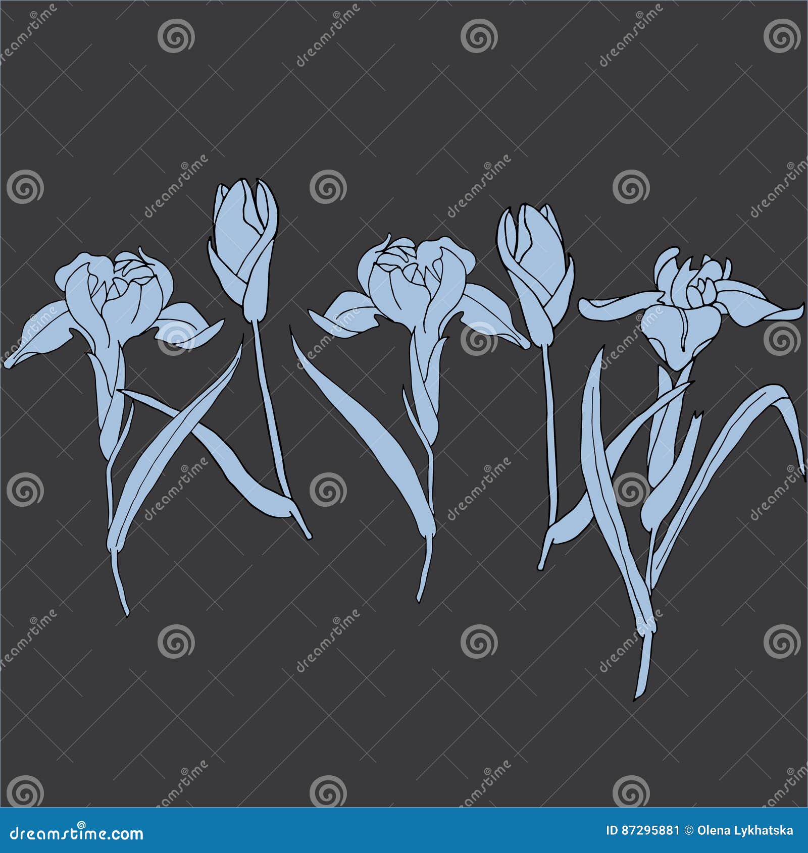 Iris Hand Drawn Sketched Illustration. Stock Vector - Illustration of ...