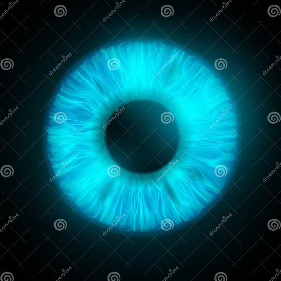 Iris of the human eye stock vector. Illustration of medicine - 50891839