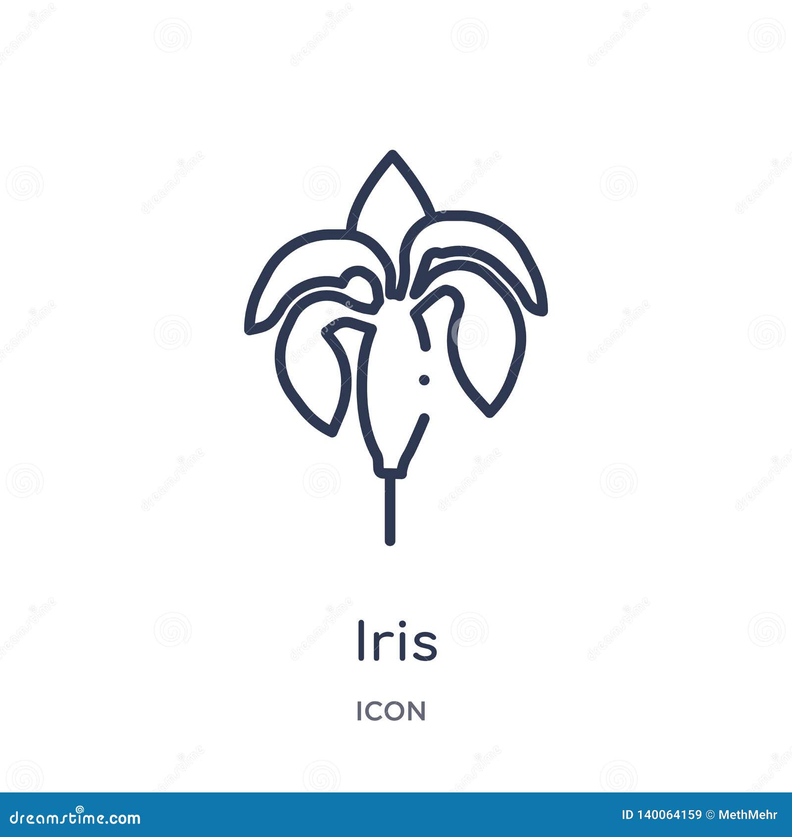 Iris Icon. Trendy Flat Vector Iris Icon On White Background From ...