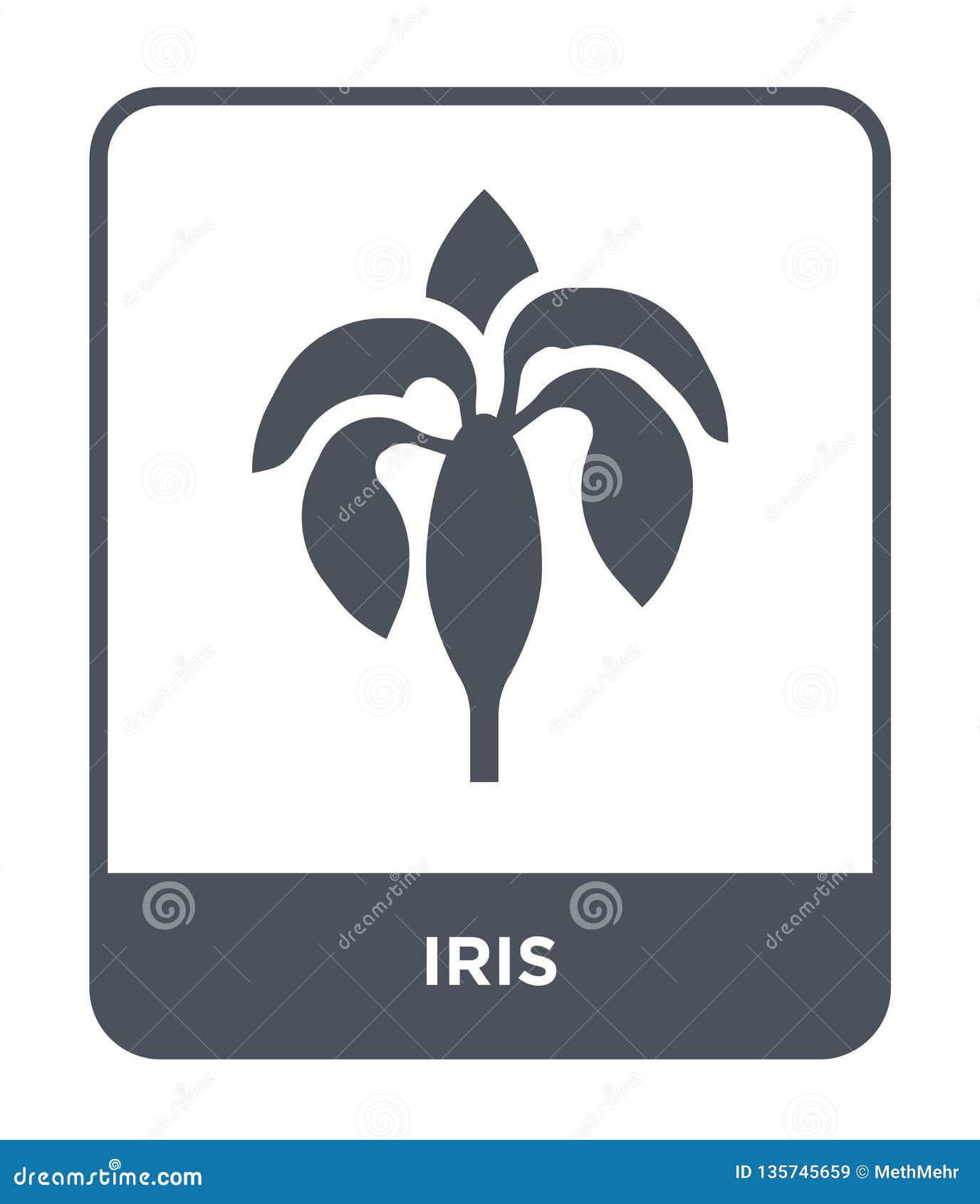 Iris Icon. Trendy Flat Vector Iris Icon On White Background From ...