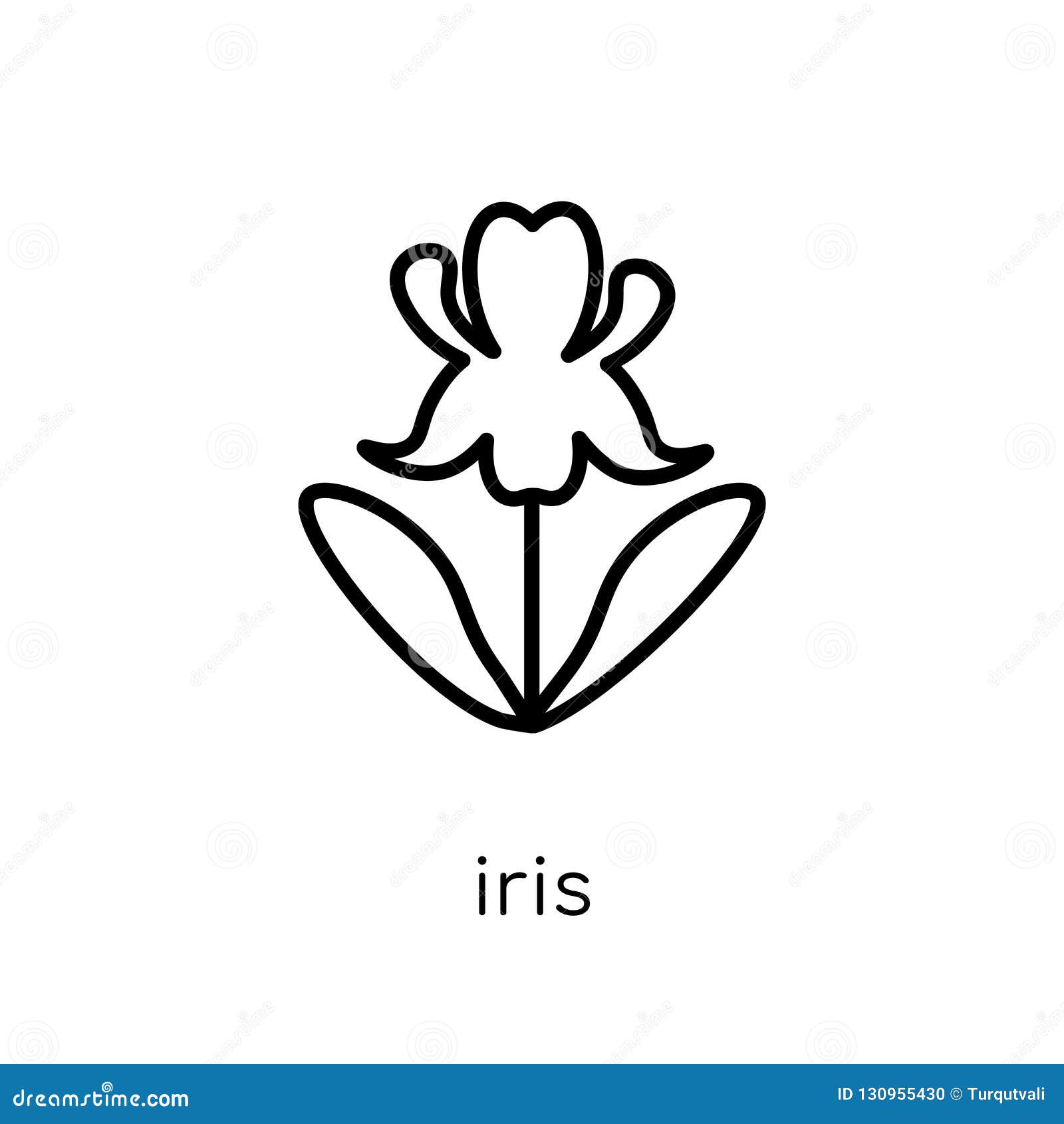 Iris Icon. Trendy Modern Flat Linear Vector Iris Icon on White B Stock ...