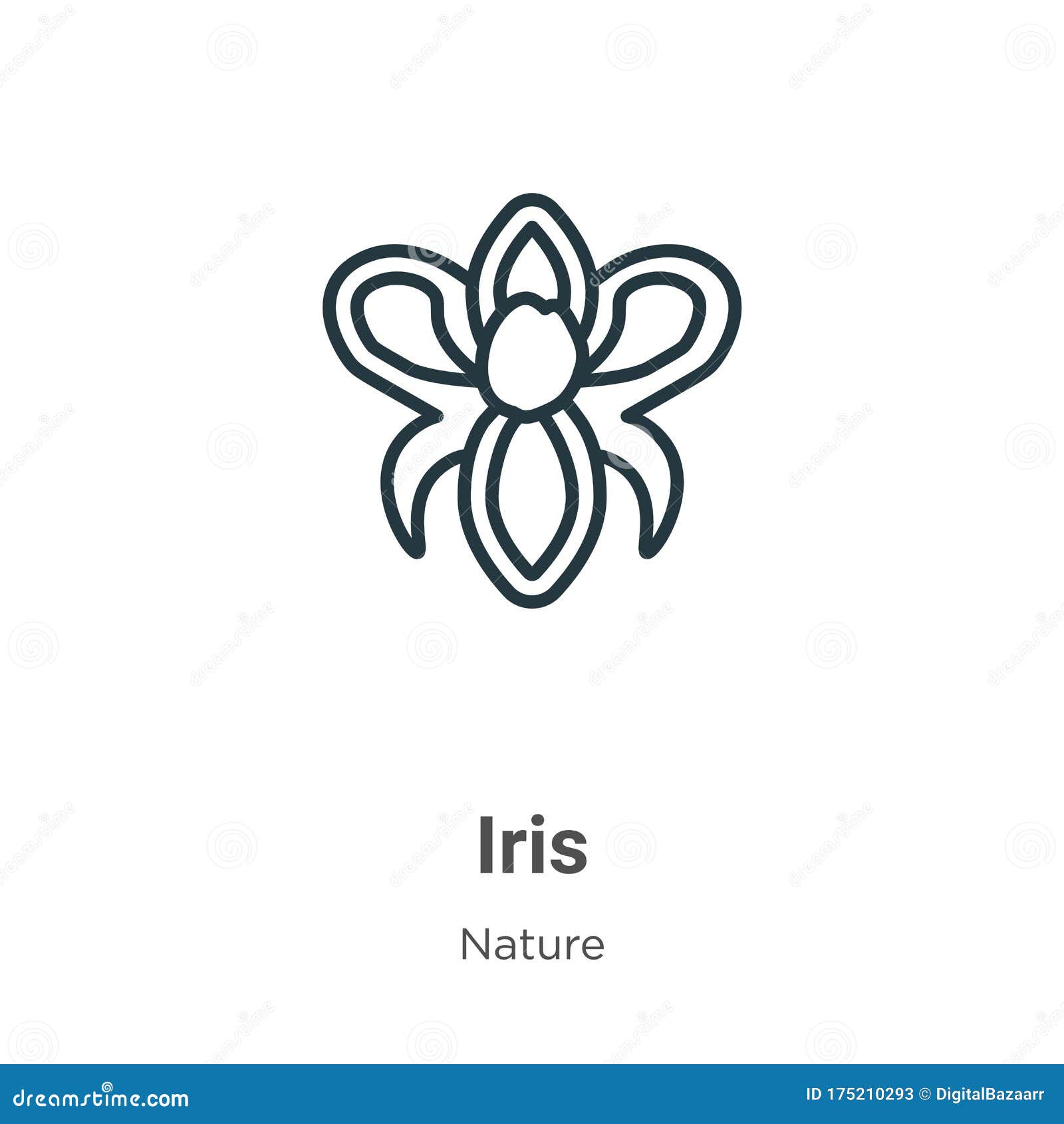 Iris Outline Vector Icon. Thin Line Black Iris Icon, Flat Vector Simple ...