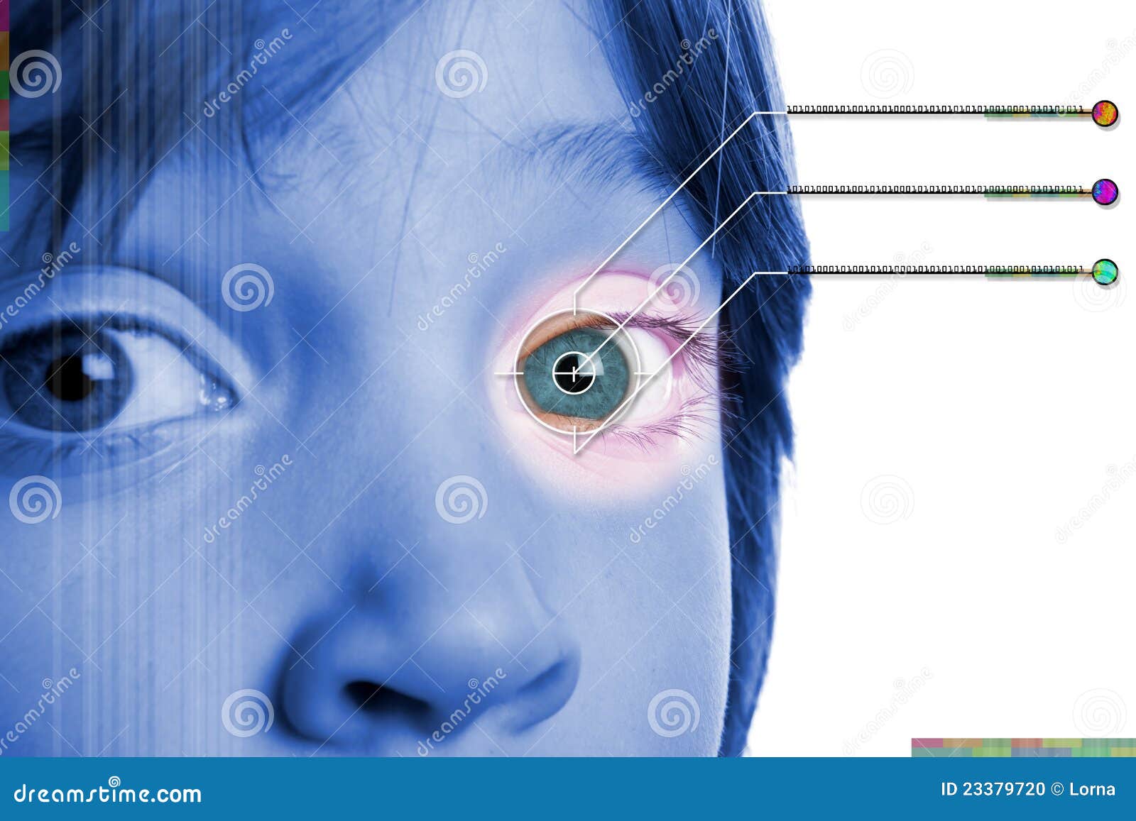 Iris Scanbiometric Identity Stock Photo - Image of identification ...