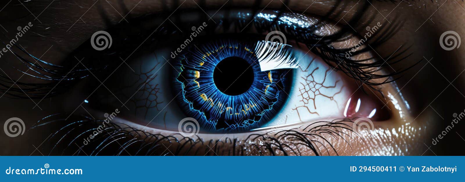Iris Scanning System. Collage With Female Eye Retina In Process Of Scan ...