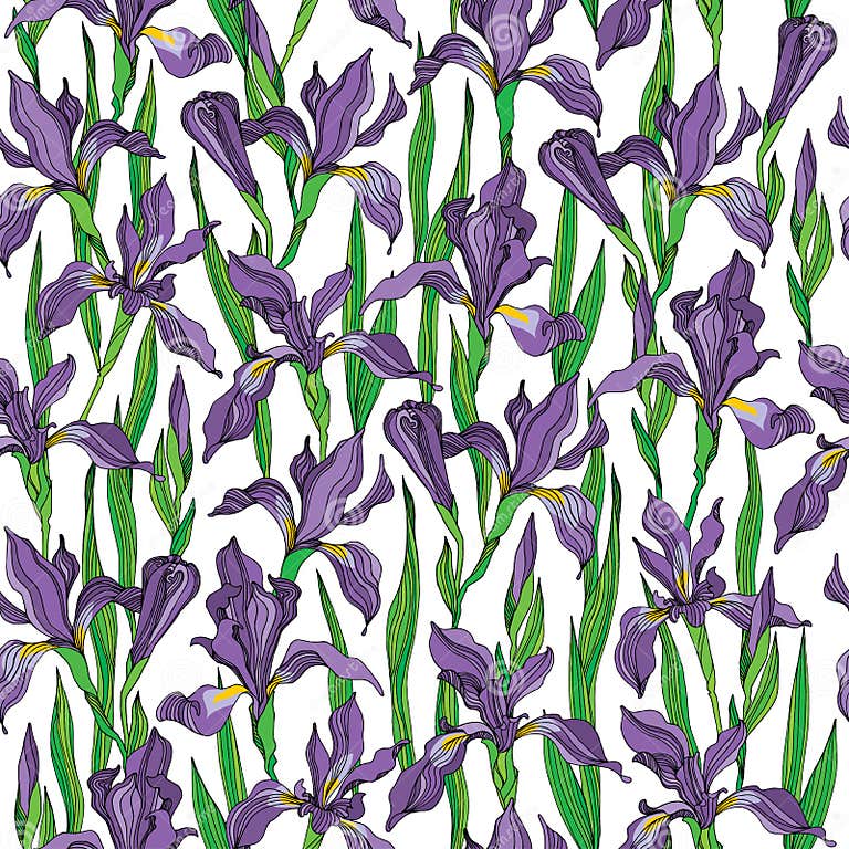 Iris Seamless Vector Pattern Stock Vector - Illustration of romantic ...