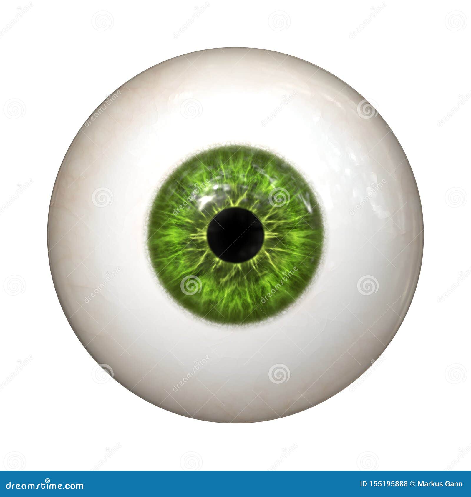Iris verde stock de ilustración. Ilustración de retina - 155195888