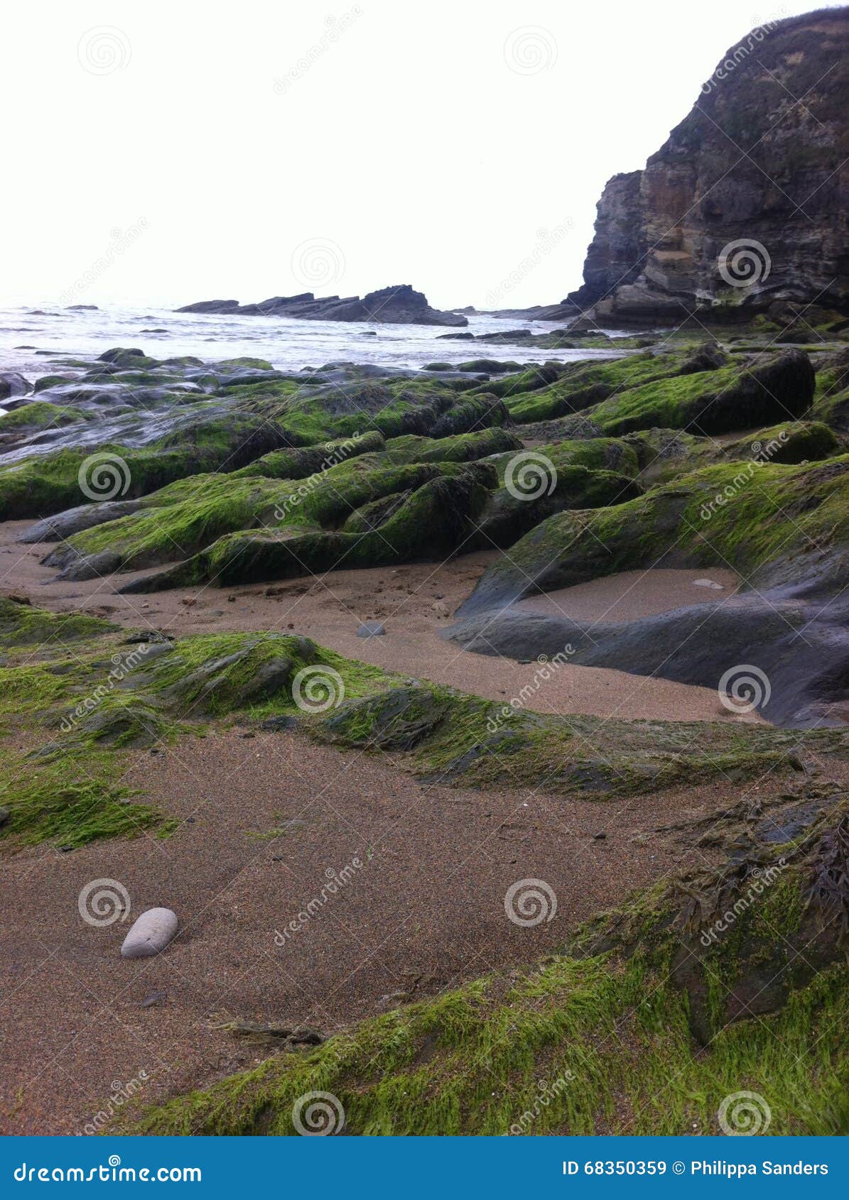 Irish Beach stock image. Image of cliffs, irish, covered - 68350359