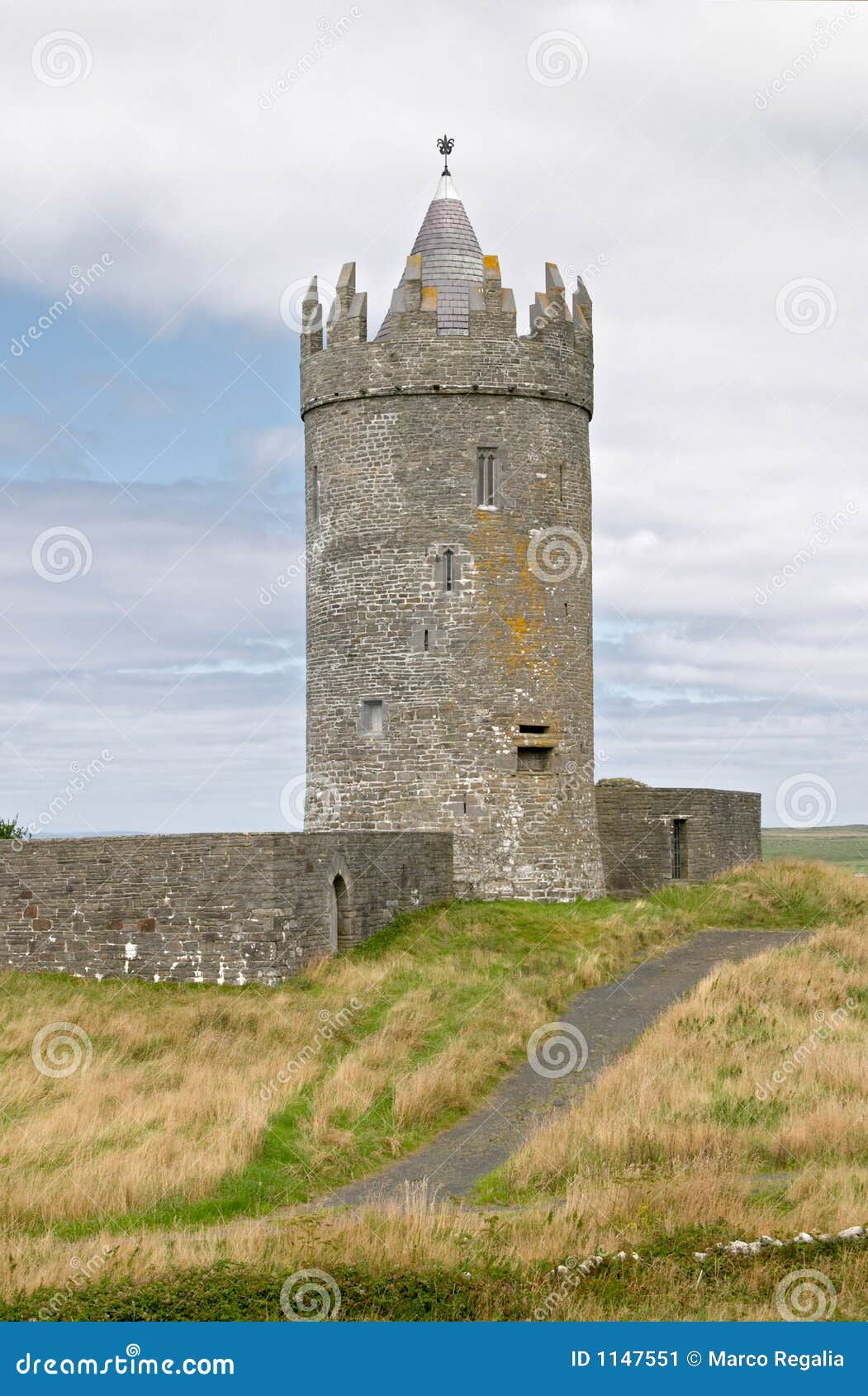 426 Irish Heath Stock Photos - Free & Royalty-Free Stock Photos from ...