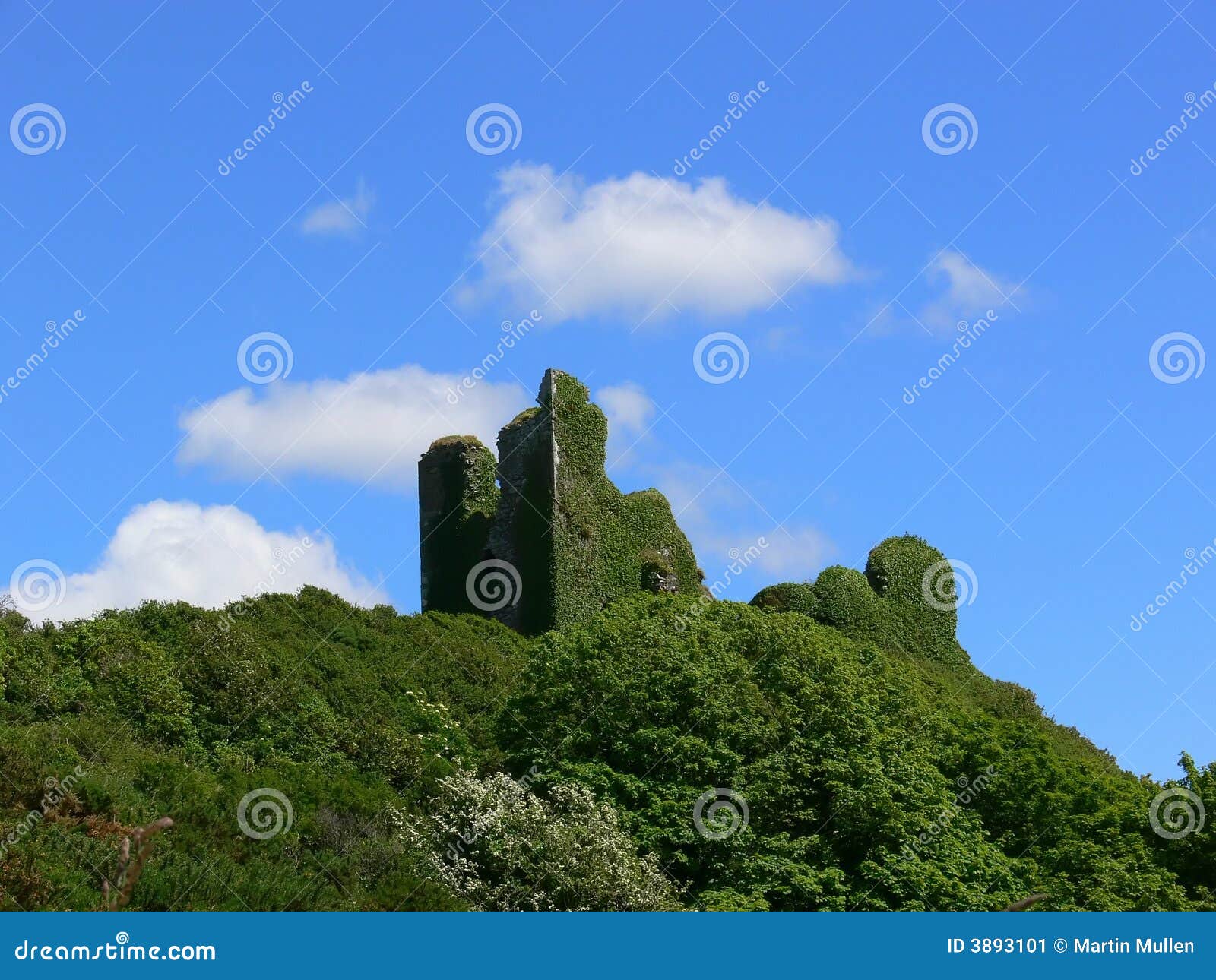 Irish castle ruin stock image. Image of hill, walls, ireland - 3893101