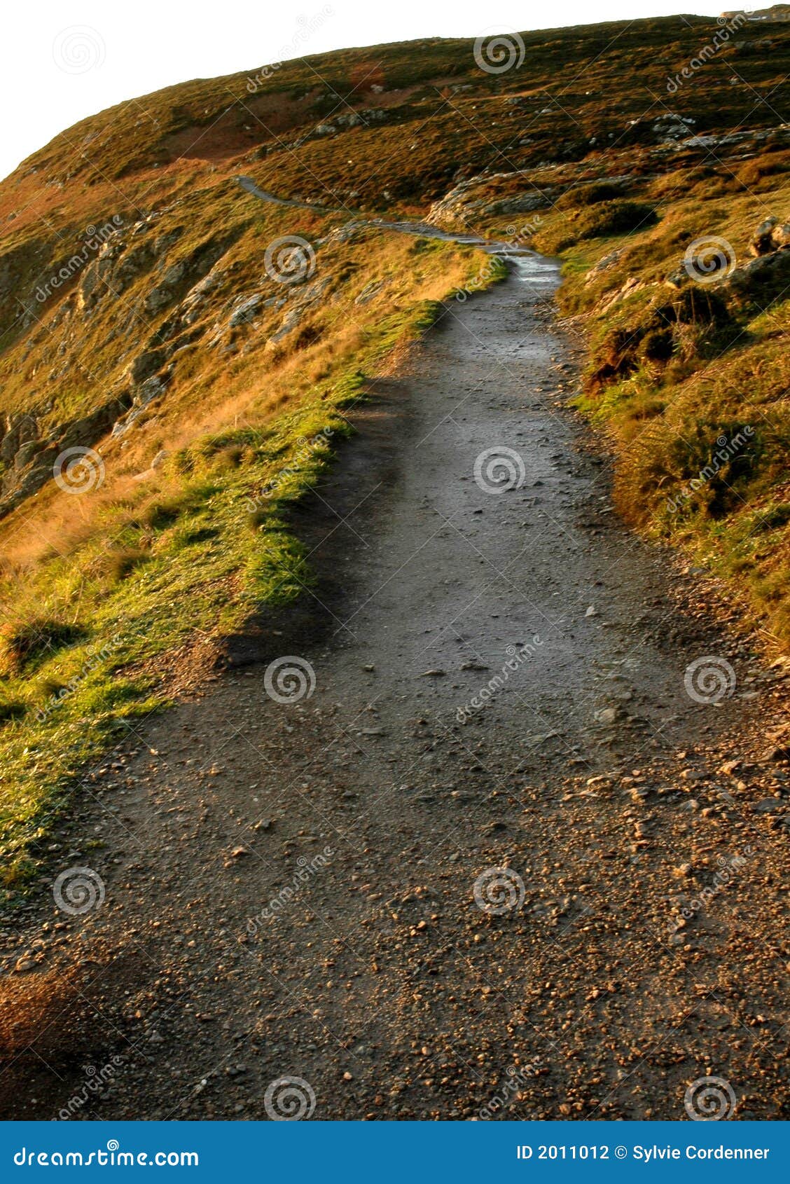 Irish coast line path stock photo. Image of path, moor - 2011012