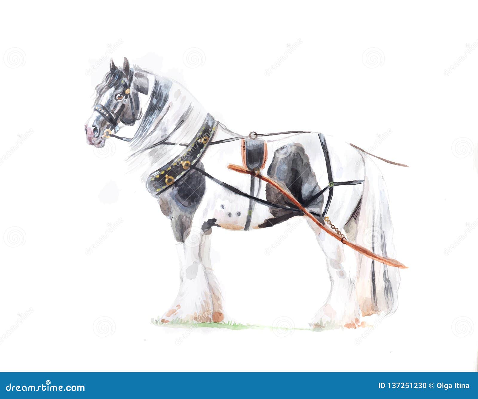 Irish Cob Watercolor Portrait in Vector Format Stock Vector ...